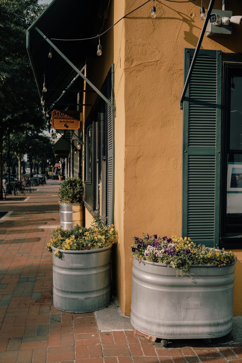 低調な写欲｜MOJA MOJA