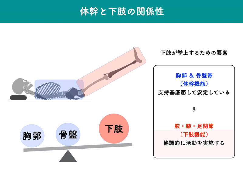 【HAMT】運動機能性評価-SLRテストから体幹/下肢機能を評価する-｜櫛引翔太 鍼灸師 × 脳卒中認定PT