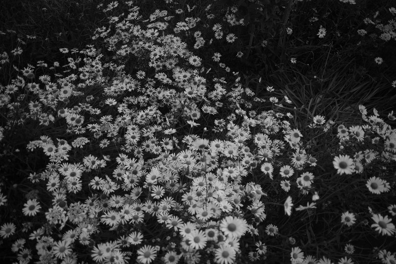 恋愛とは毒だ｜OHO KANAKO