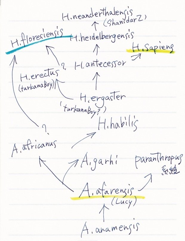 ＃3 インドネシアの島嶼はすごい ｜mitsu (Hazel)