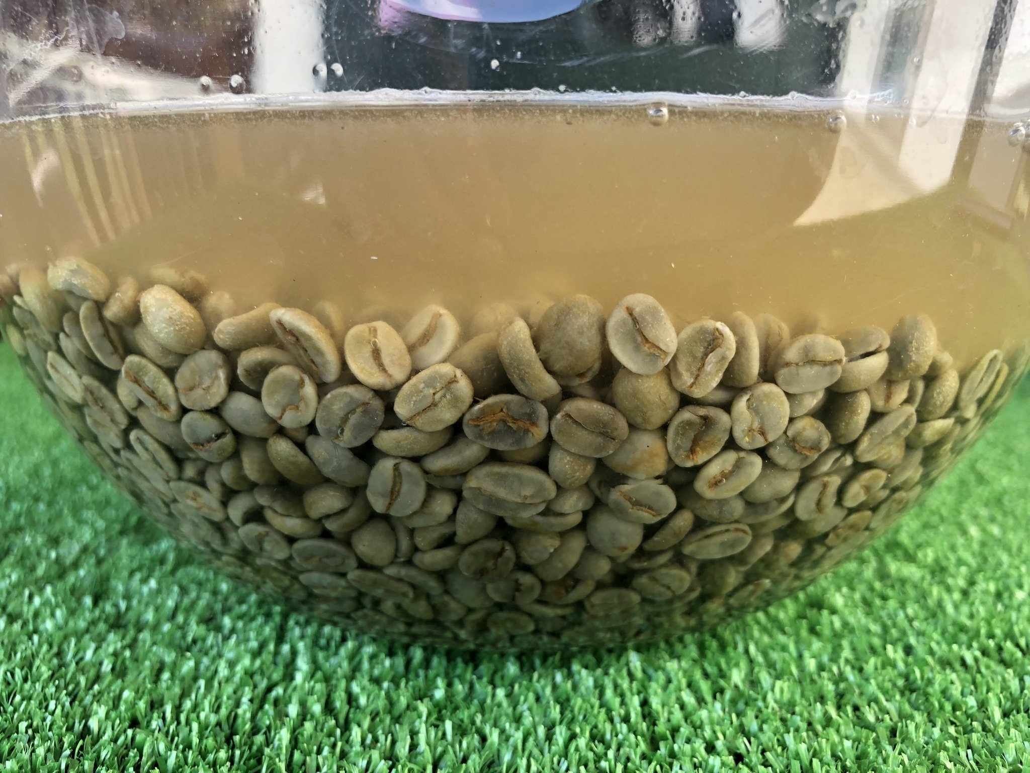 JINCOFFEEのお豆たち｜Jin Coffee こだわりの自家焙煎