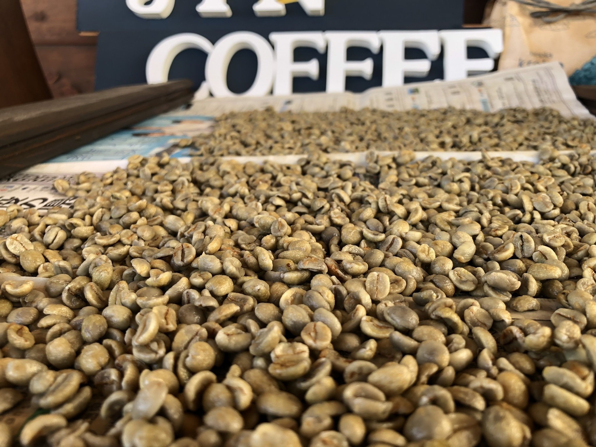 JINCOFFEEのお豆たち｜Jin Coffee こだわりの自家焙煎