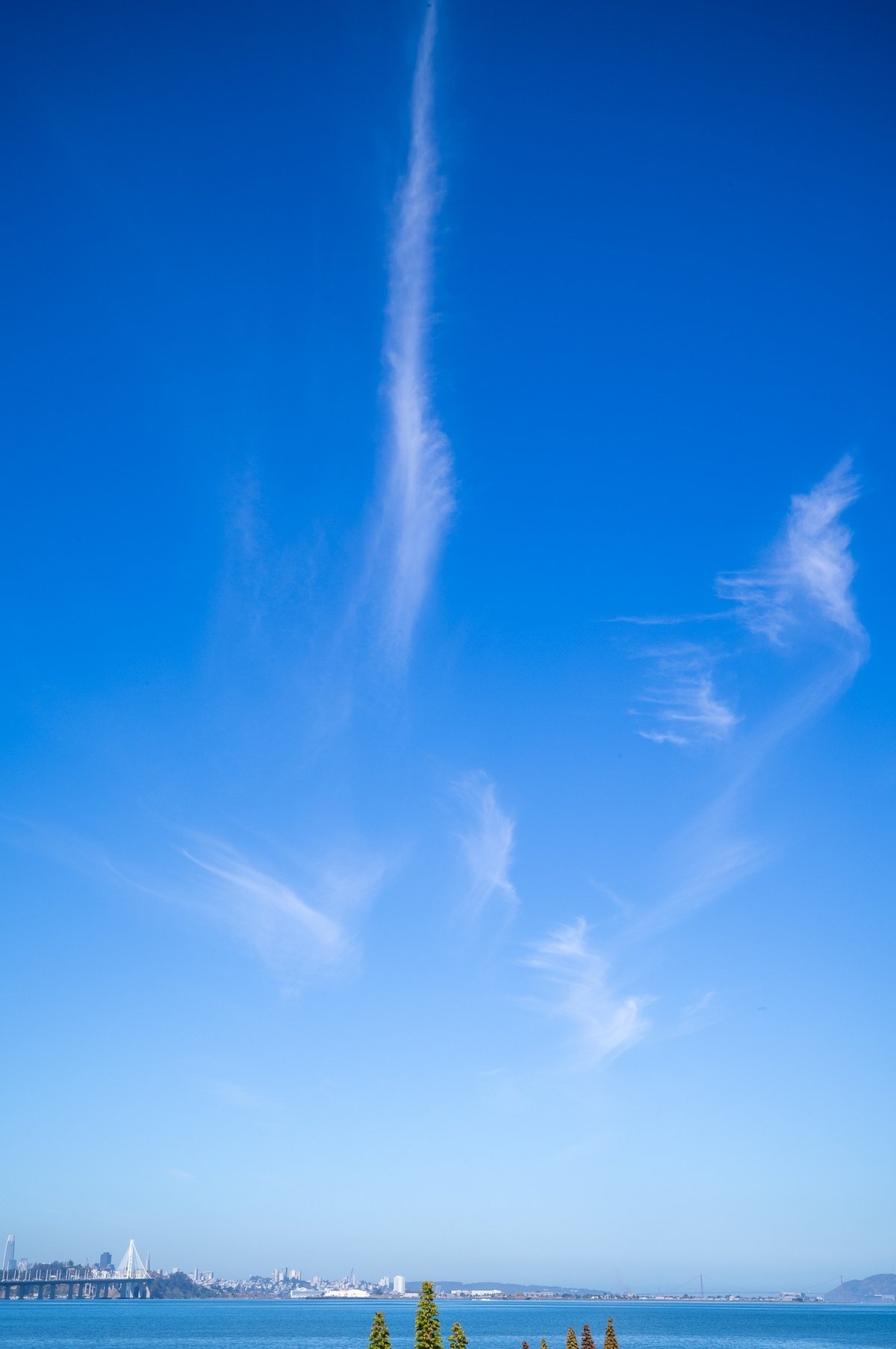 Sunny Tuesday｜helloryuji