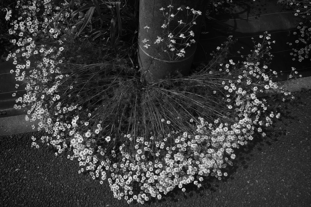 終わりの日｜OHO KANAKO