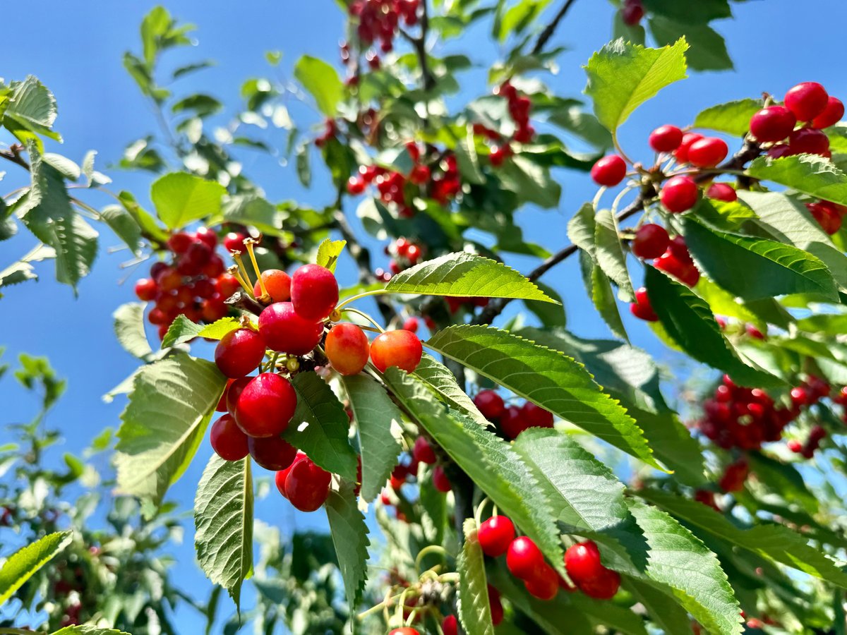 HINODE BLOG〜新型レイバックで巡るドライブコース〜｜宮城スバル 日の出店｜MIYAGI SUBARU HINODE