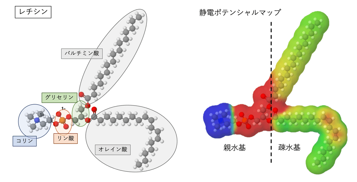 Off Flavor入門〜⑲カプリル酸｜Shiro Yamada