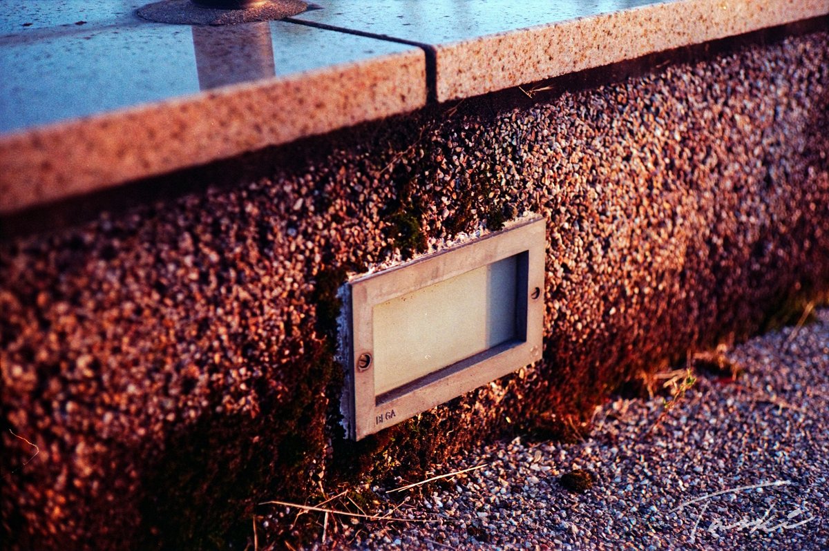 色が転ぶ楽しさを感じたロモグラフィー｜Tazki