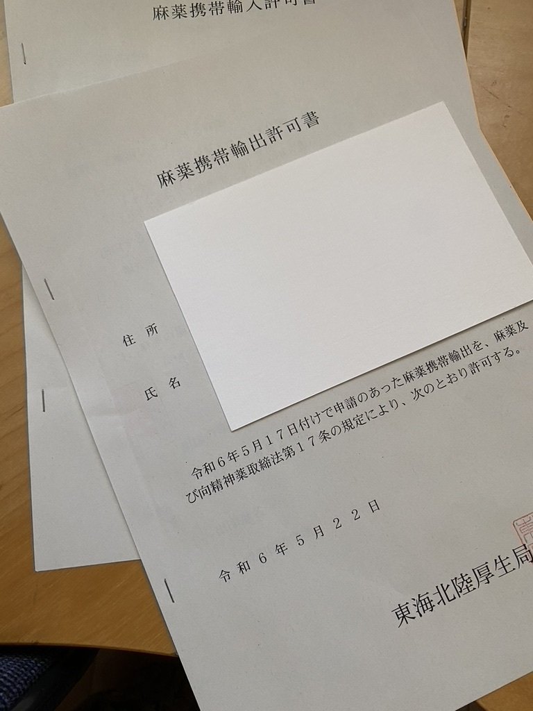 最期の大野プロジェクトとPecoジョージアプロジェクト｜Peco Otaki（大多喜ぺこ）