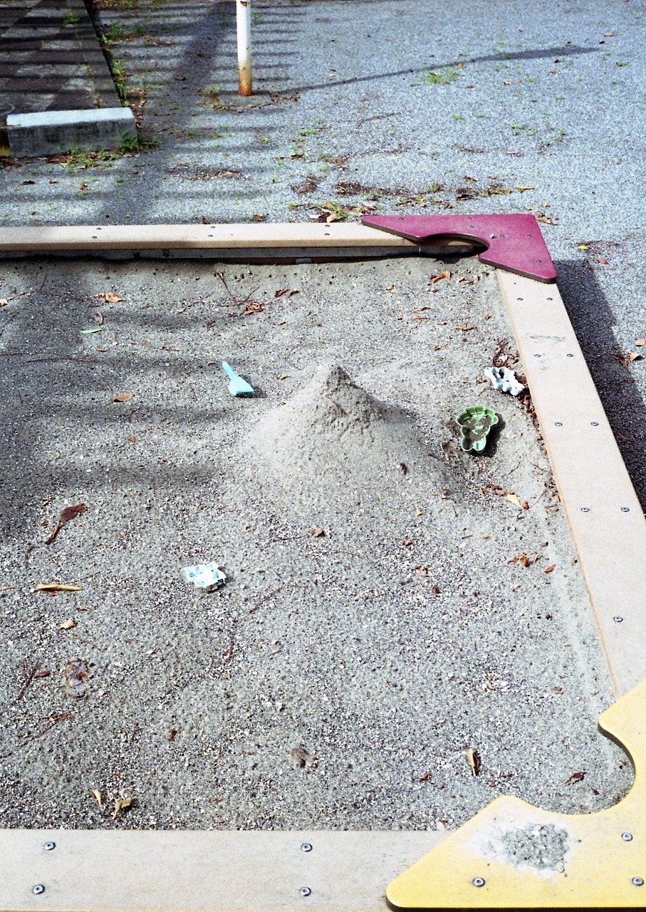 24年6月 Olympus PenD3｜robert_oku