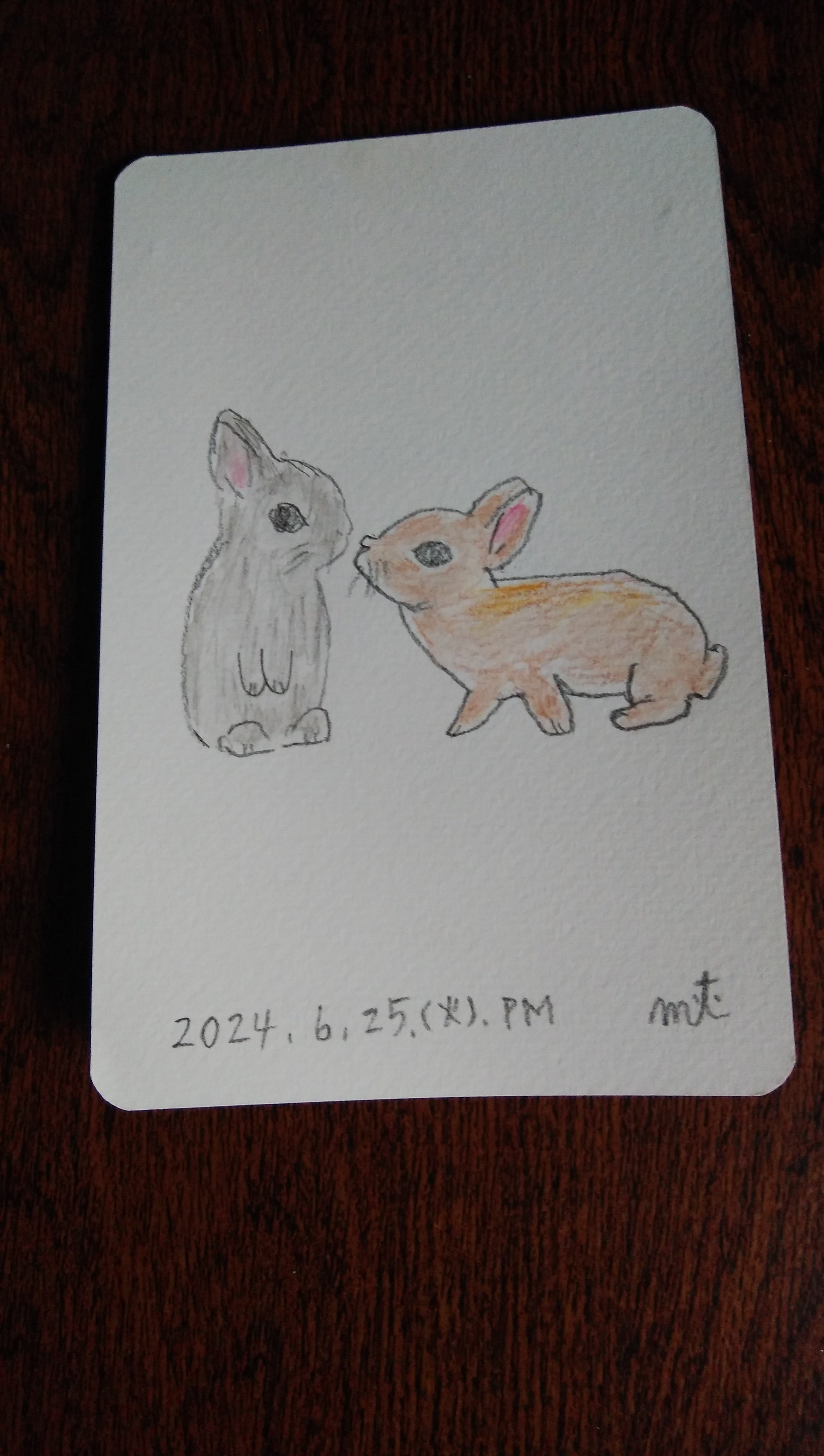 miyukitty日記2024NO8｜miyukitty