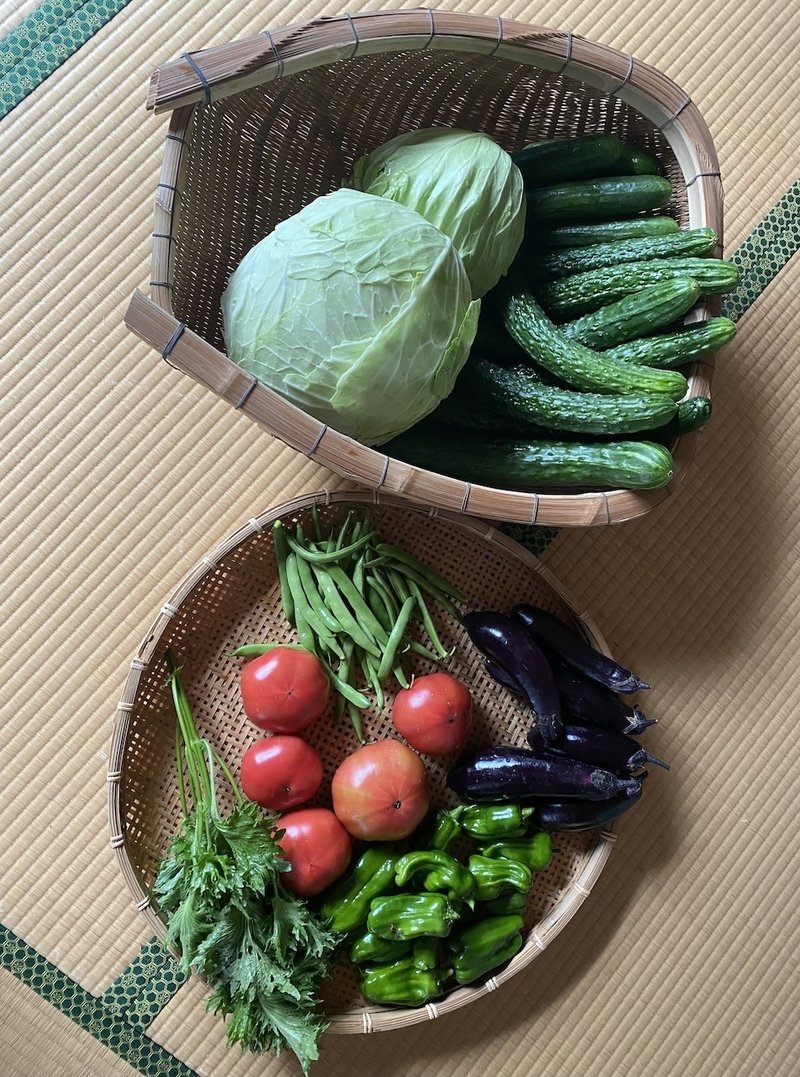 もったいないという気持ち｜きっとくらす