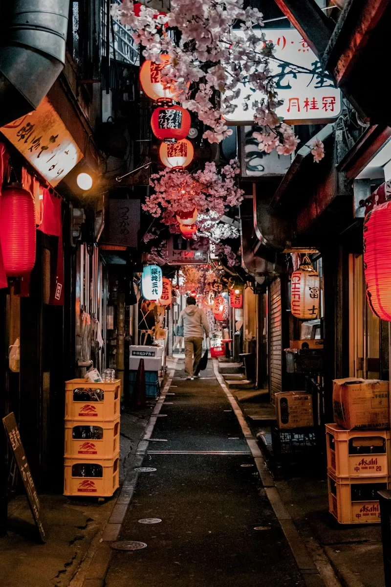 Shinjuku Tokyo Nightlife: The Ultimate Guide to an Unforgettable Night ...
