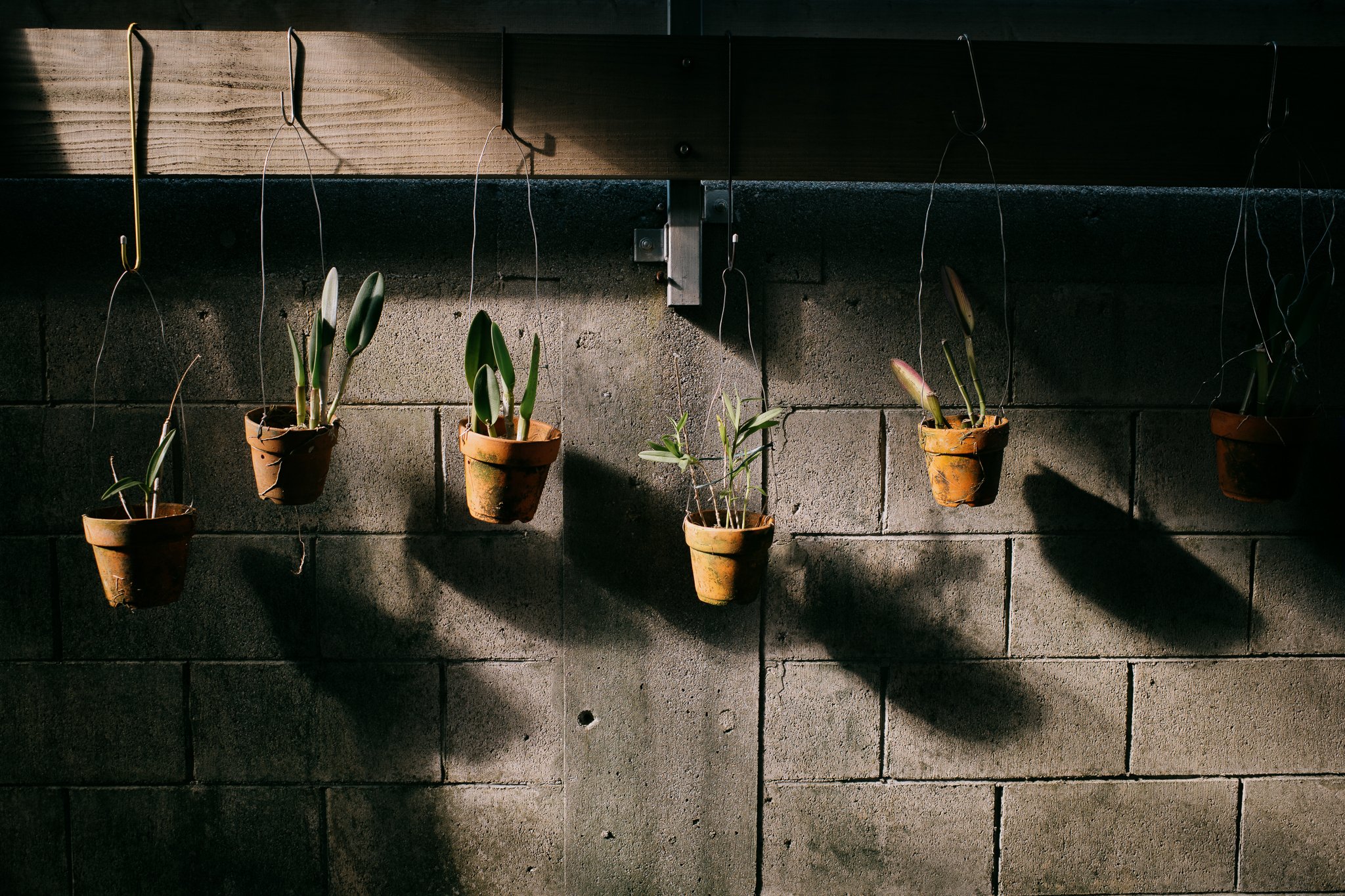 Daily Snap｜helloryuji