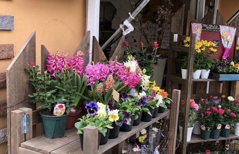 お花で生活に彩りを｜dgnfj