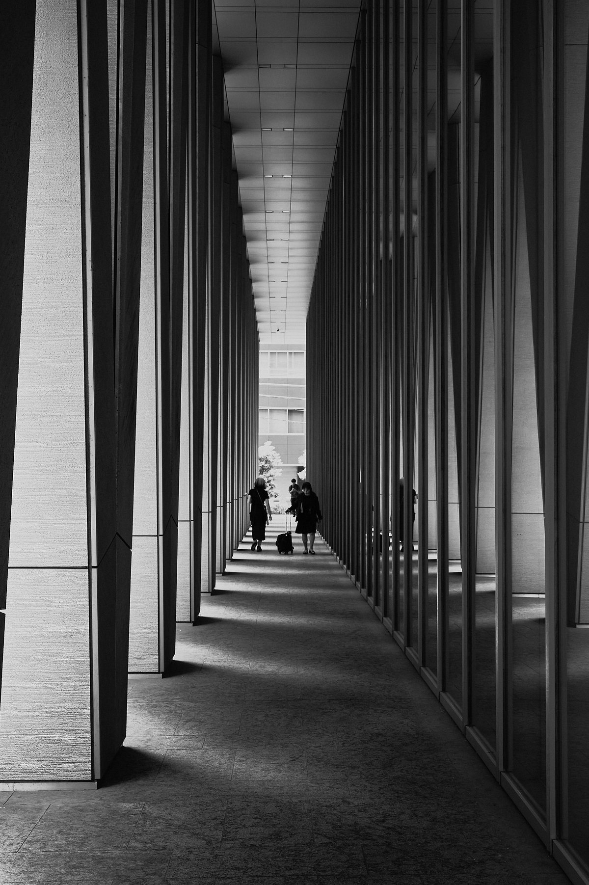 Z6Ⅲどうしてこうなった。｜005 akkiy