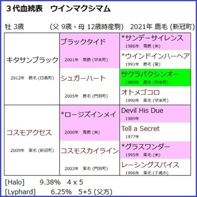 【ラジオNIKKEI賞（G3）】～予想篇｜Haya