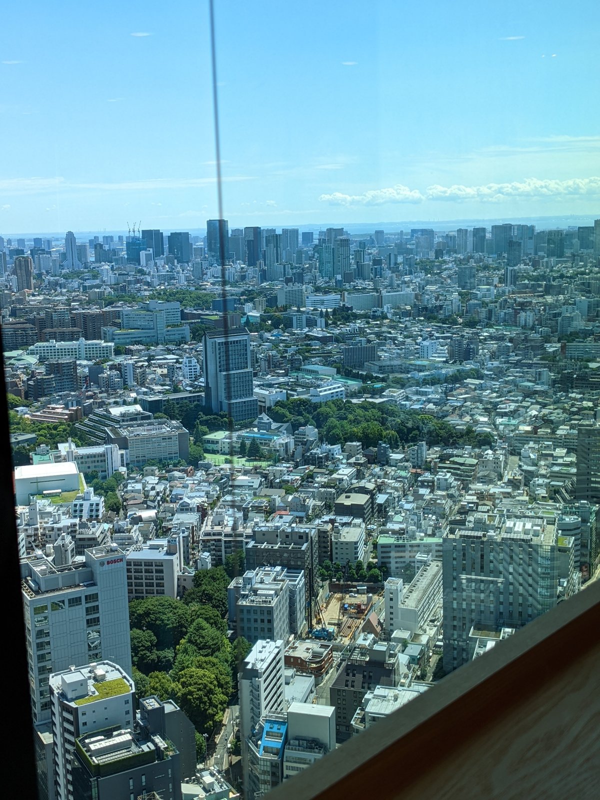 学位授与機構で学士(看護学)を取った話①【学修成果】｜Mariko Okamoto