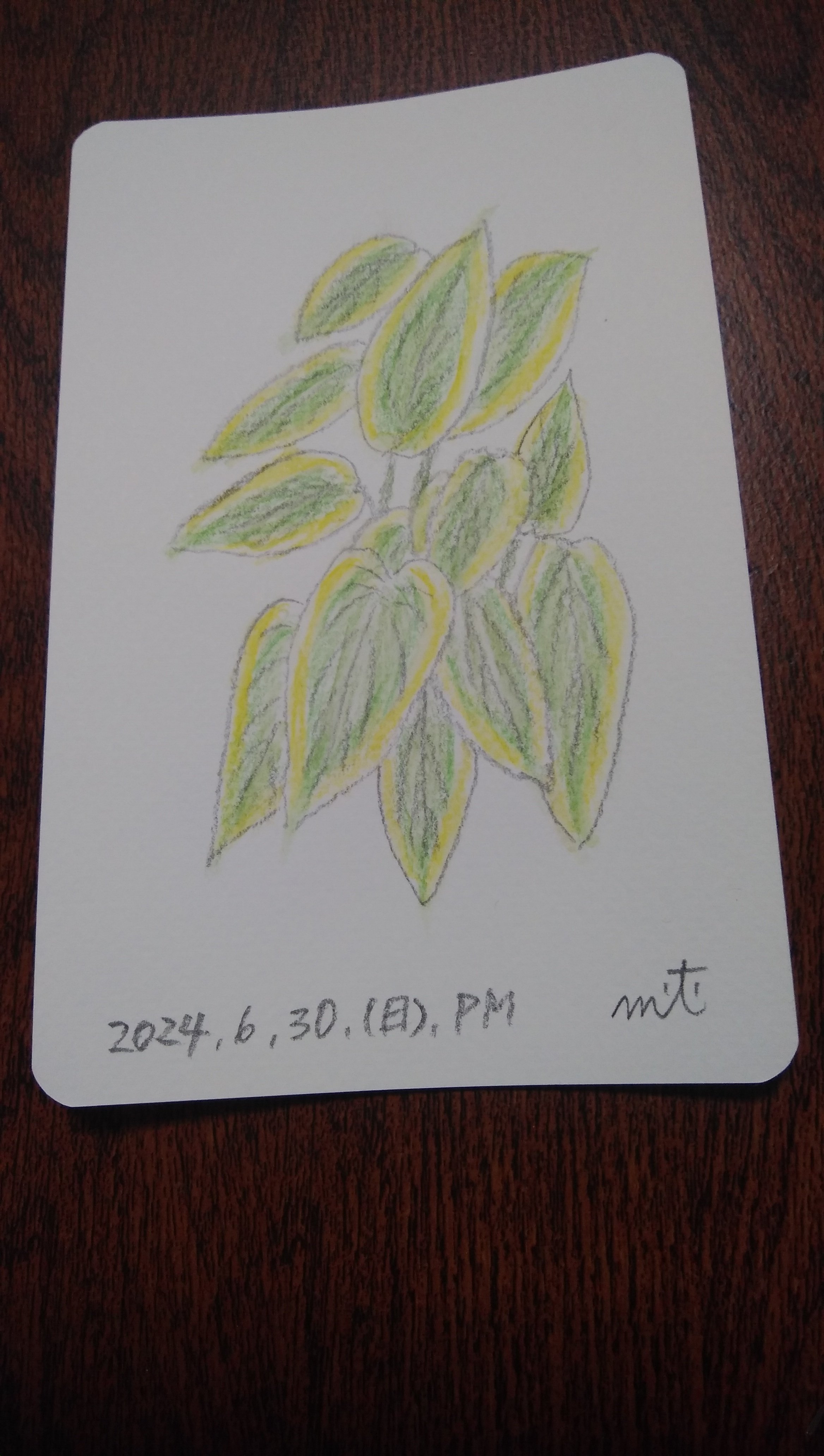 miyukitty日記2024NO9｜miyukitty