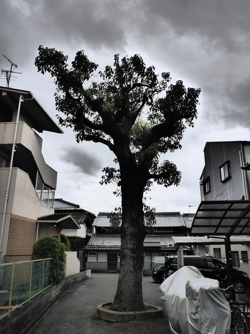 インプレッシブ｜takahiro mori