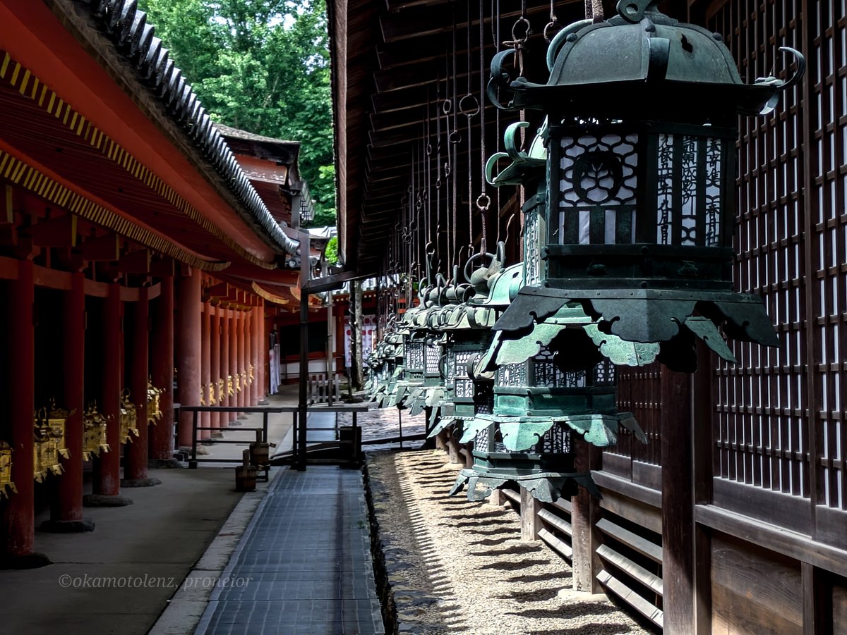 Google Pixel 8aで奈良歩き｜Daichi Okamoto