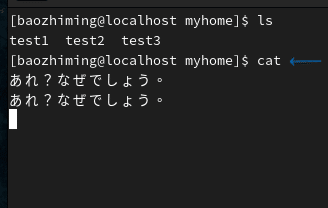 【Linux】cat,lessとmoreの使い方及び違いについて｜コグラフ株式会社 データアナリティクス事業部