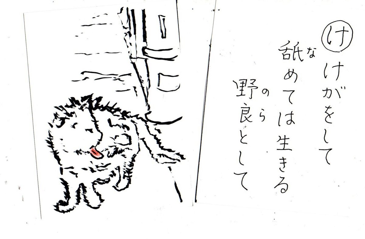 猫カルタ、作りました🐈｜つる