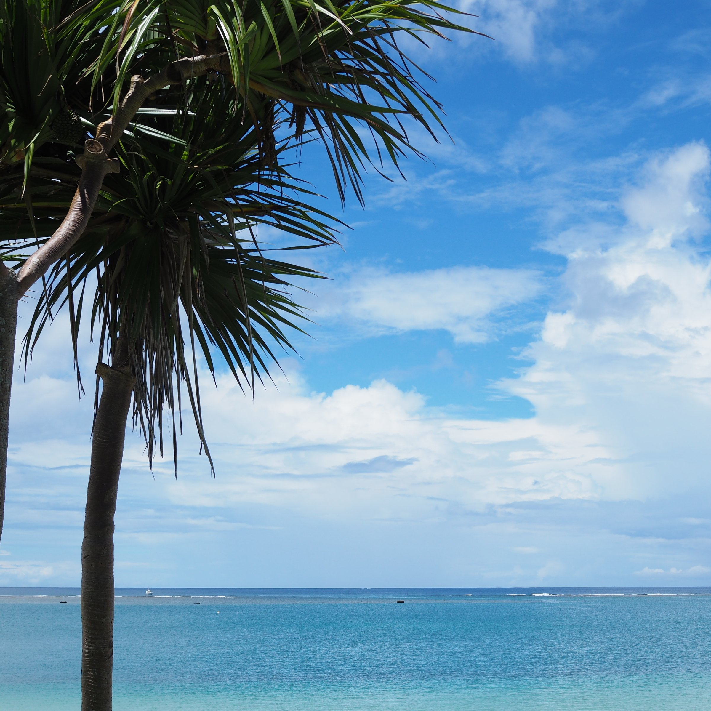 沖縄の海｜rimoco*rimoco