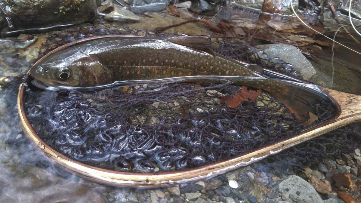 季節労働前の釣り（2023 05）｜offcraft