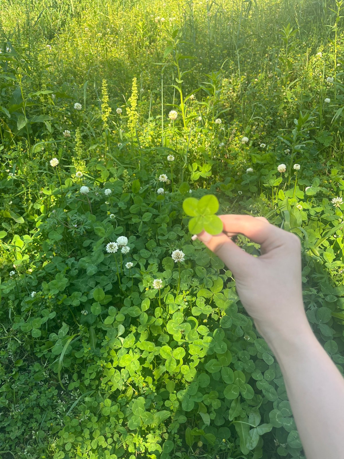 【自己紹介】初めてのnote｜May＠HSP×ﾐﾆﾏﾘｽﾄ