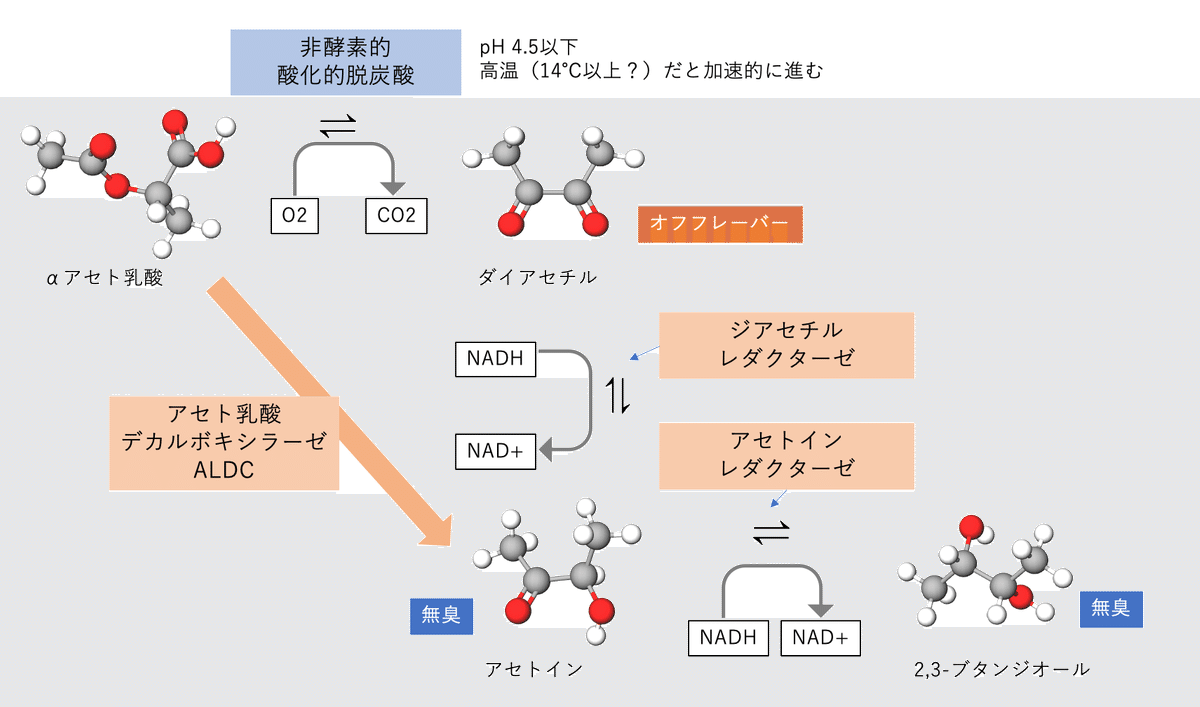 Off Flavor入門〜㉑ダイアセチル後編｜Shiro Yamada