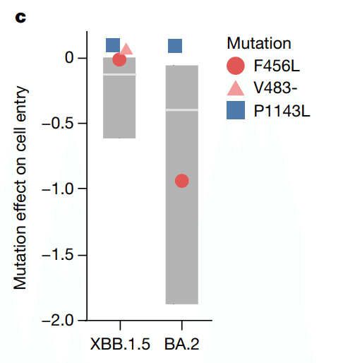 スパイクディープ変異スキャンはSARS-CoV-2系統の成功を予測するのに役立ちます｜カイン