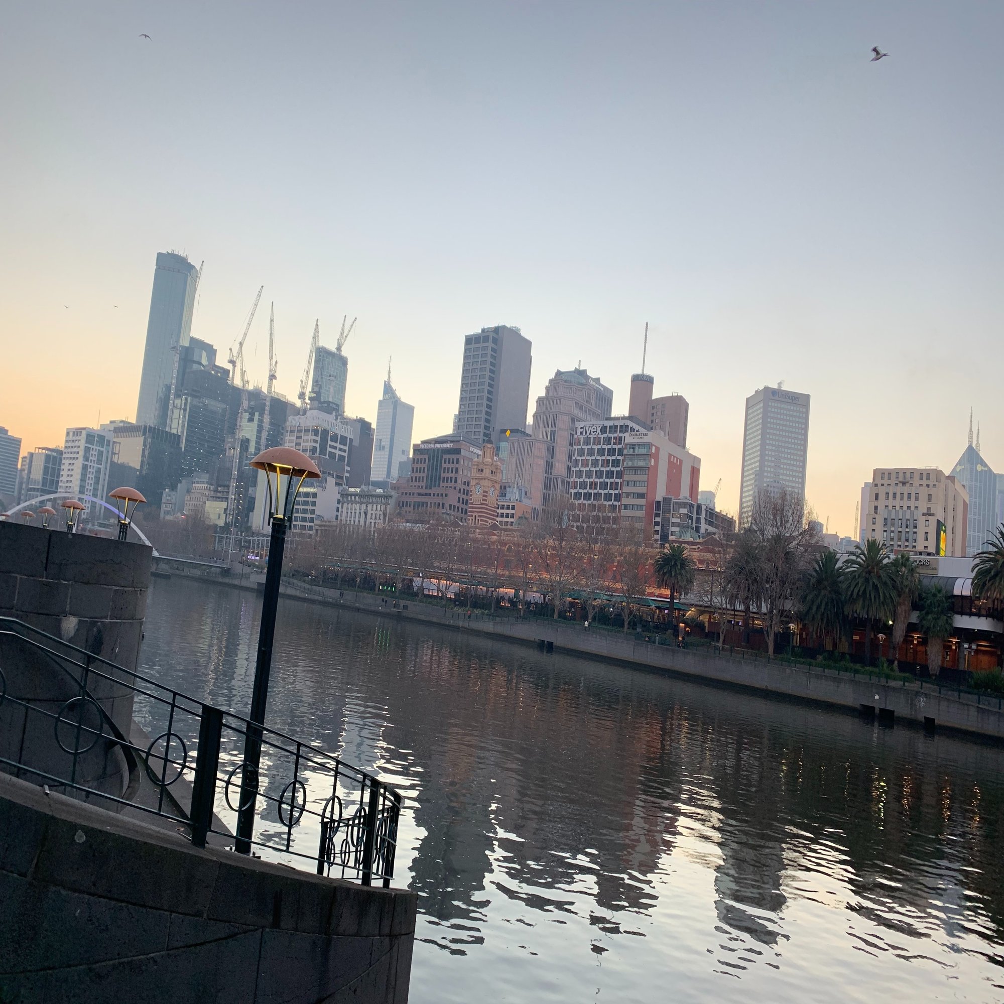 上田一輝｜Ikki Ueda