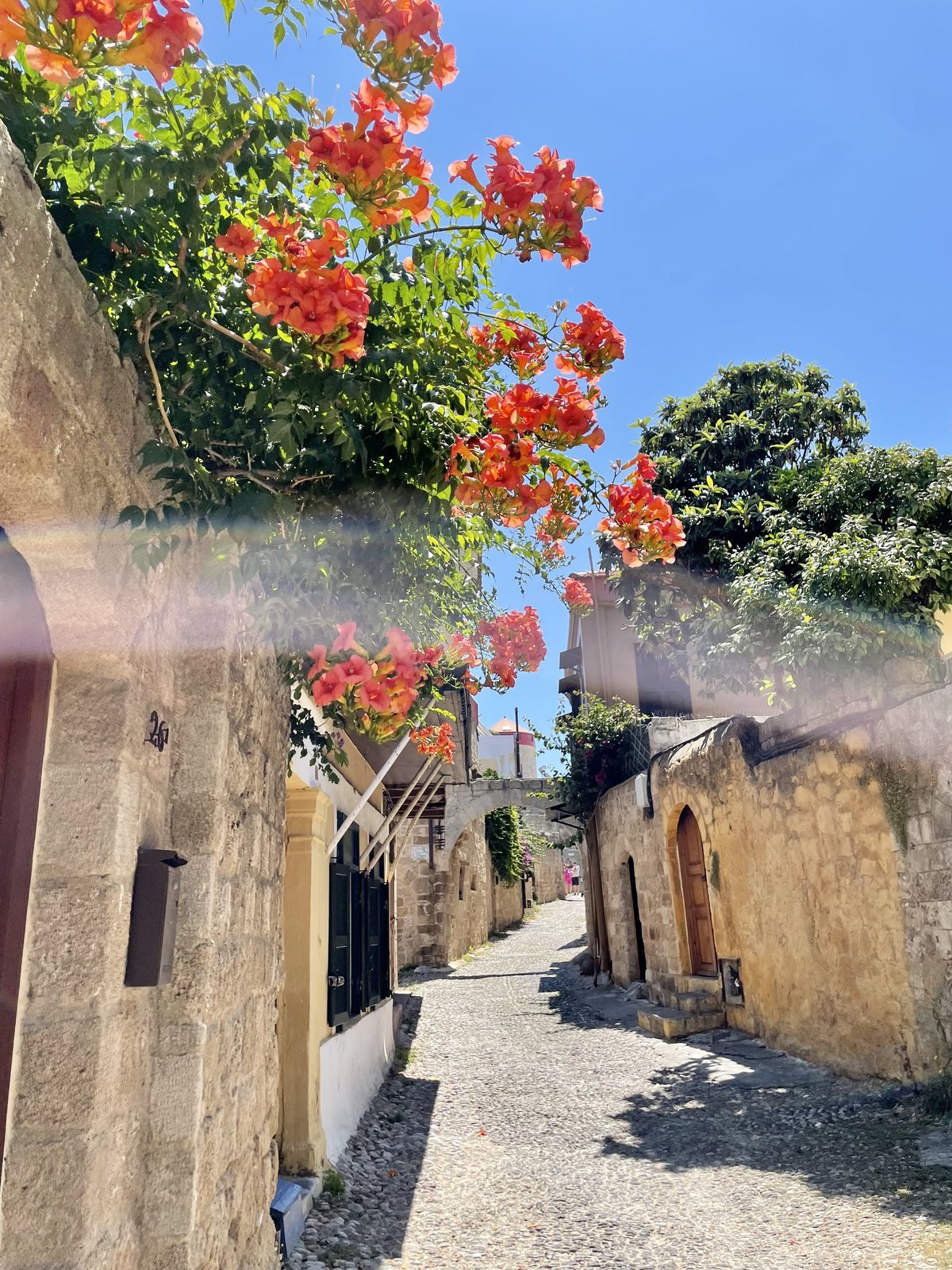 【徹底攻略】花と騎士の島「ロードス島」｜YUNO/大航海時代DAO