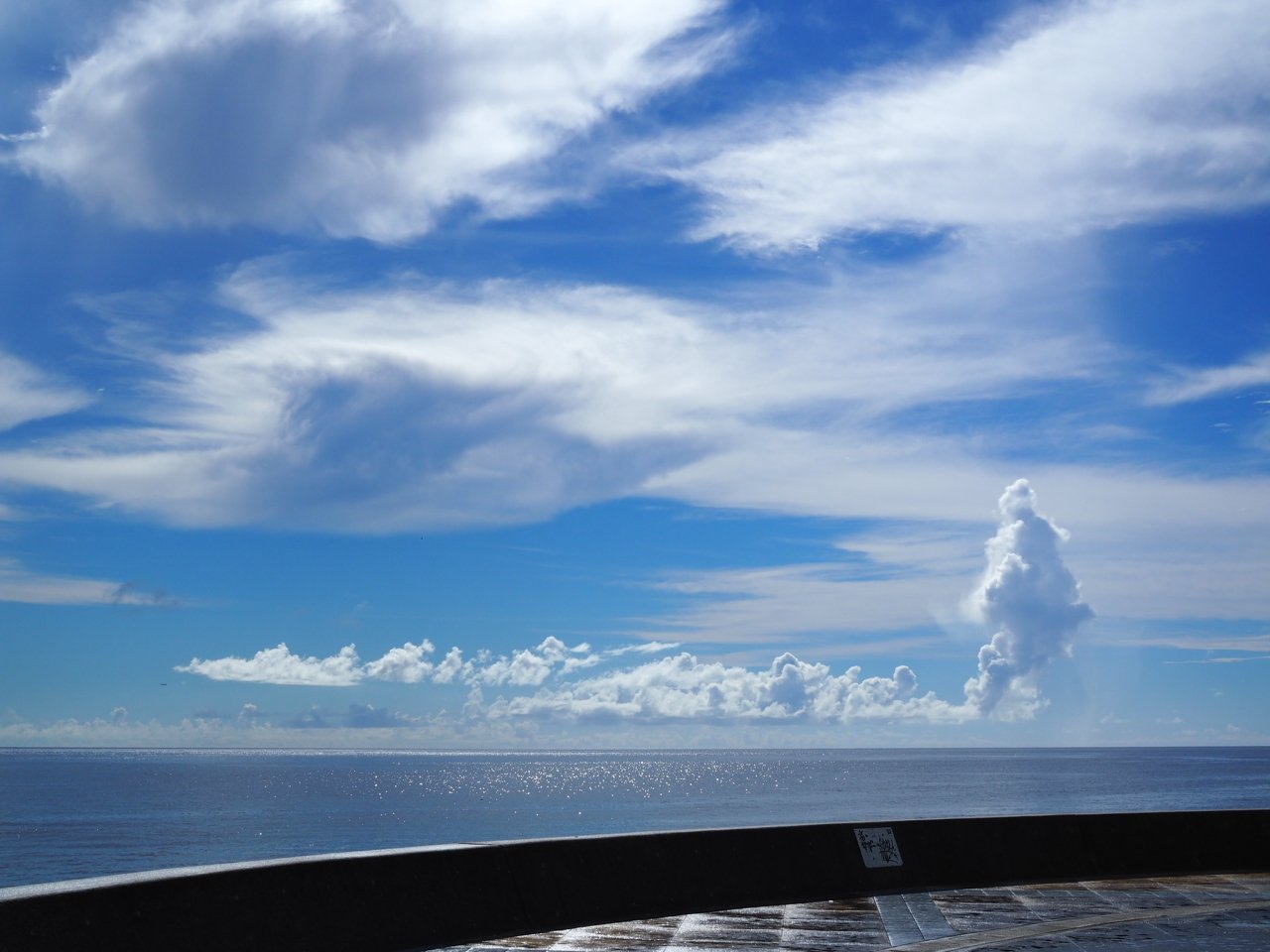 今日の散歩写真｜rimoco*rimoco