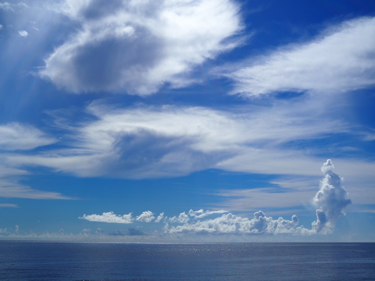 今日の散歩写真｜rimoco*rimoco