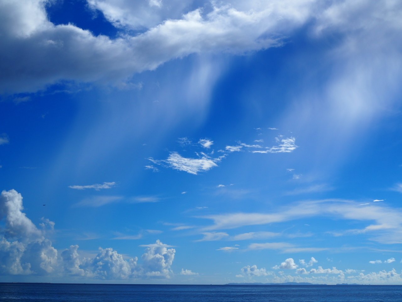 今日の散歩写真｜rimoco*rimoco