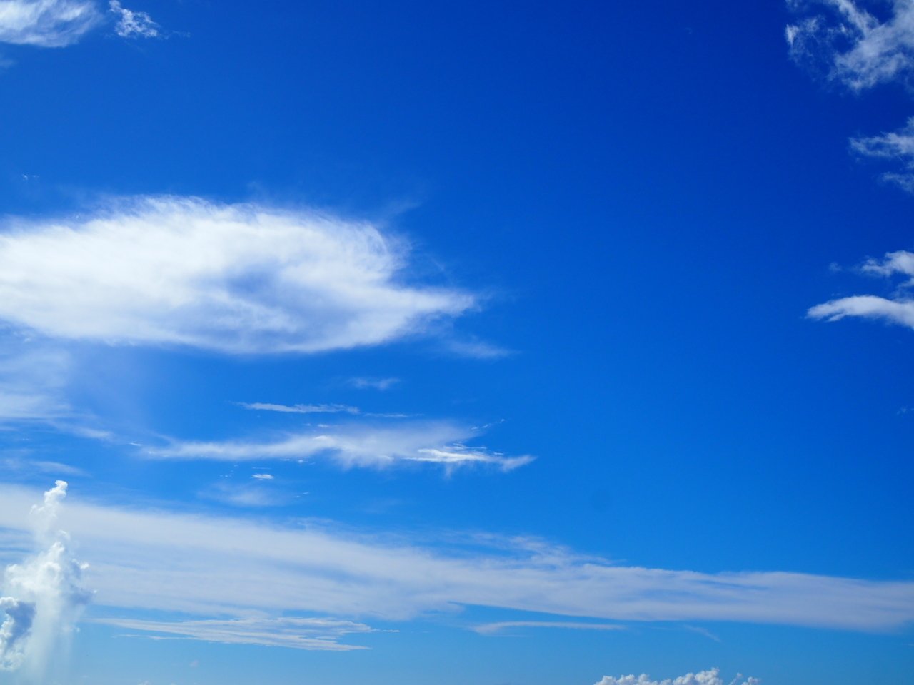 今日の散歩写真｜rimoco*rimoco