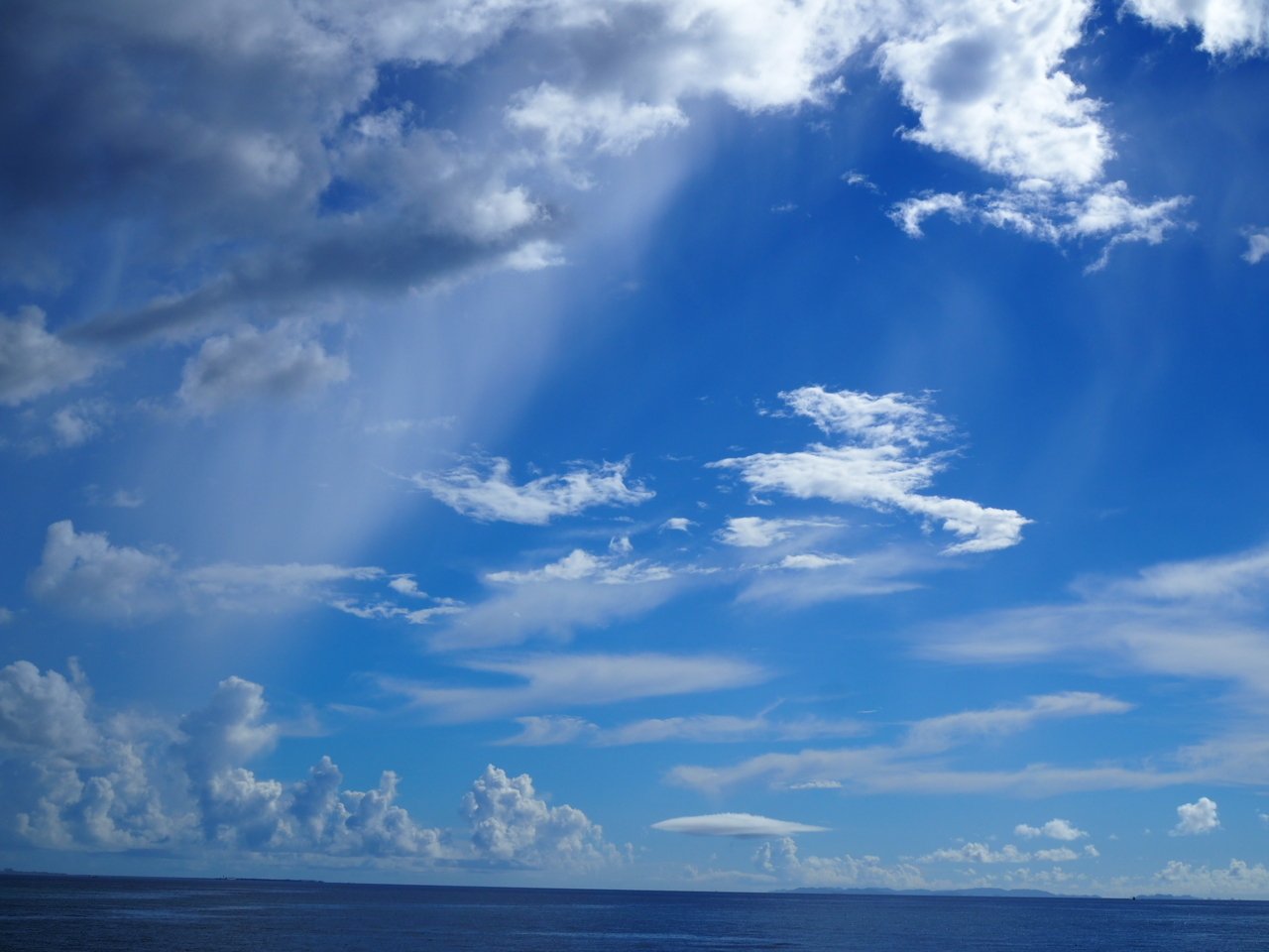 今日の散歩写真｜rimoco*rimoco