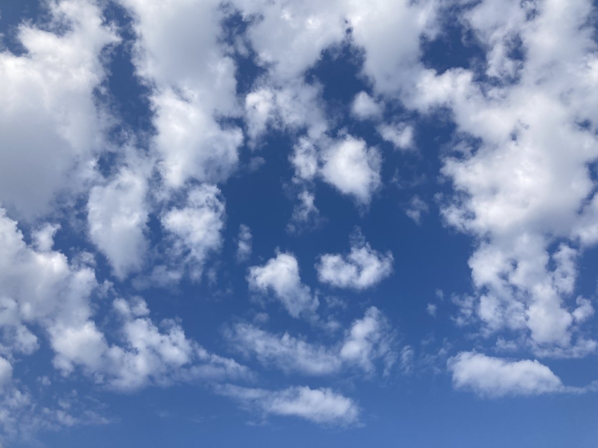 起業のご報告と起業ストーリー｜AN(元base_azu)@合同会社Ray Career代表