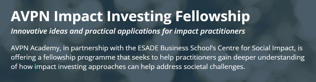 【開催決定】AVPN TOKYO Visionaries' Gathering 2024.8.2（AVPN Impact Investment Fellowship との合同企画）｜AVPN ...