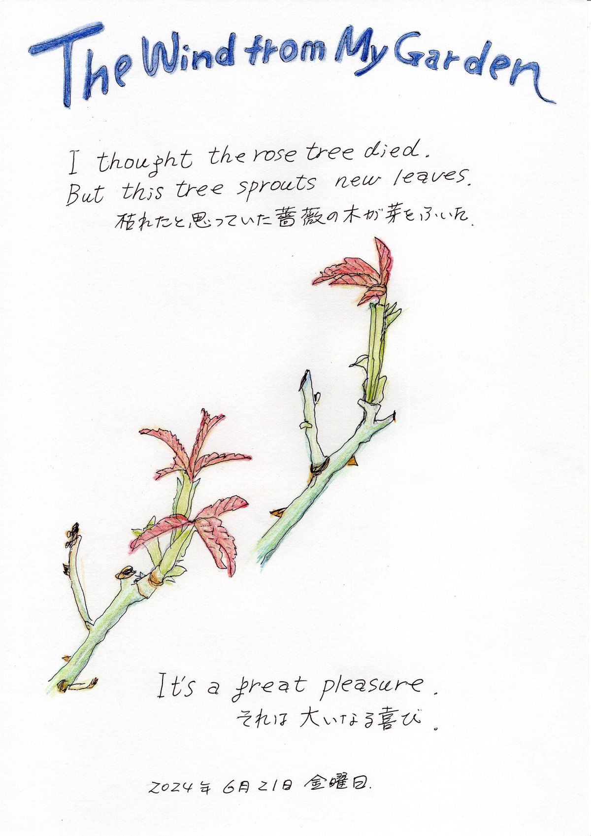 June 2024｜The Wind from My Garden