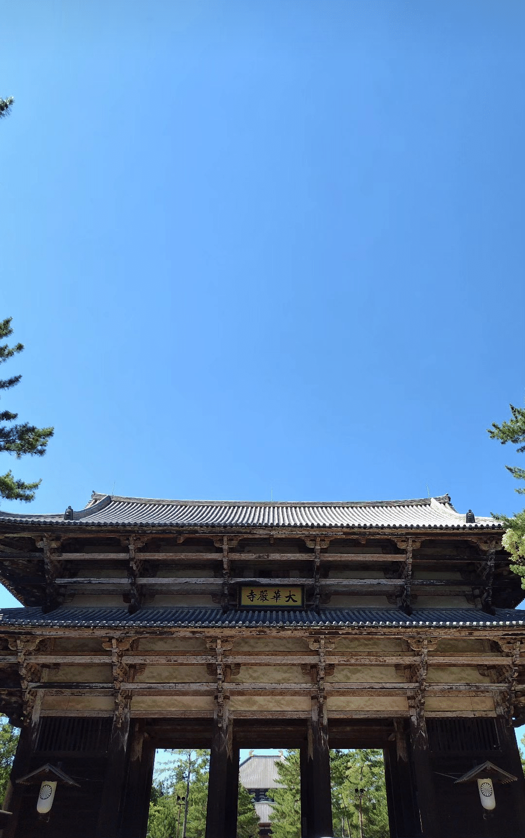 奈良・NARA・奈良！！｜nothihodo/作菓