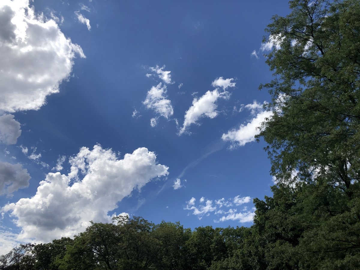 散歩を感じる -5- ドイツベルリンGrunewaldまでfeeling the vibration of locations by strolling along a path｜noboru