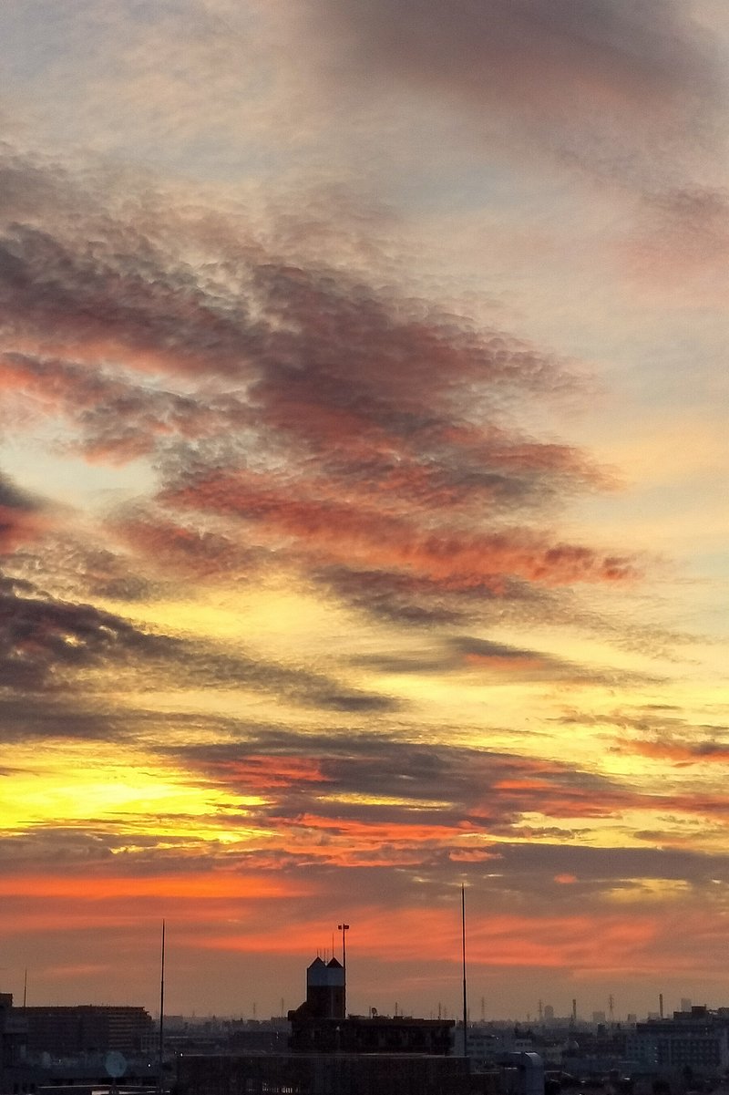 ベランダにて 2024/7/10｜Toru Shiratori