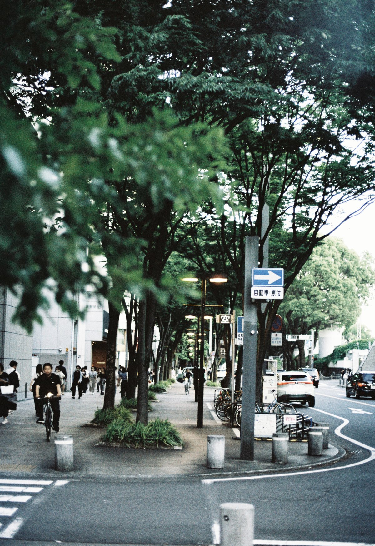 vol.362 Film de Snap 〜LOMO metropolis〜｜緋色のHiro