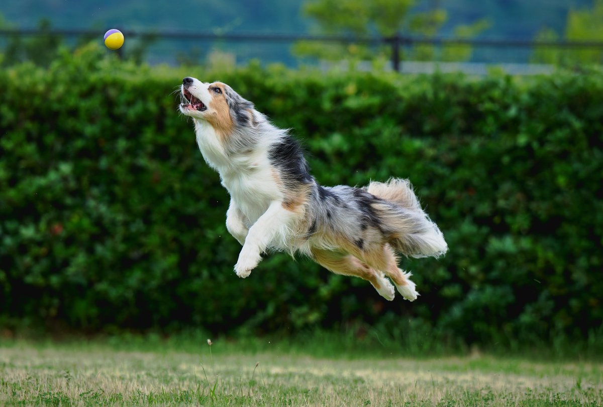 結局、このカバンになるんですよ｜005 akkiy