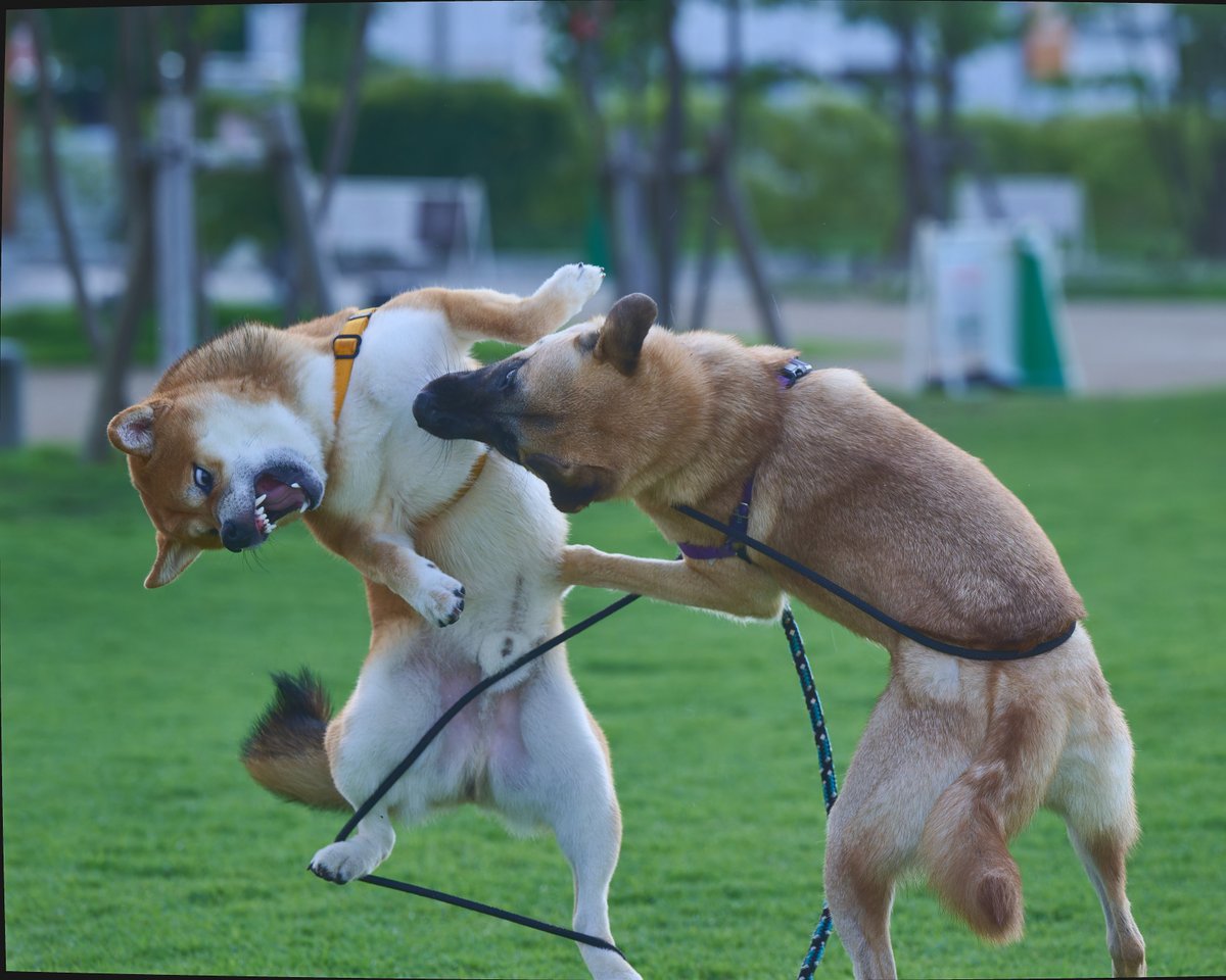 結局、このカバンになるんですよ｜005 akkiy