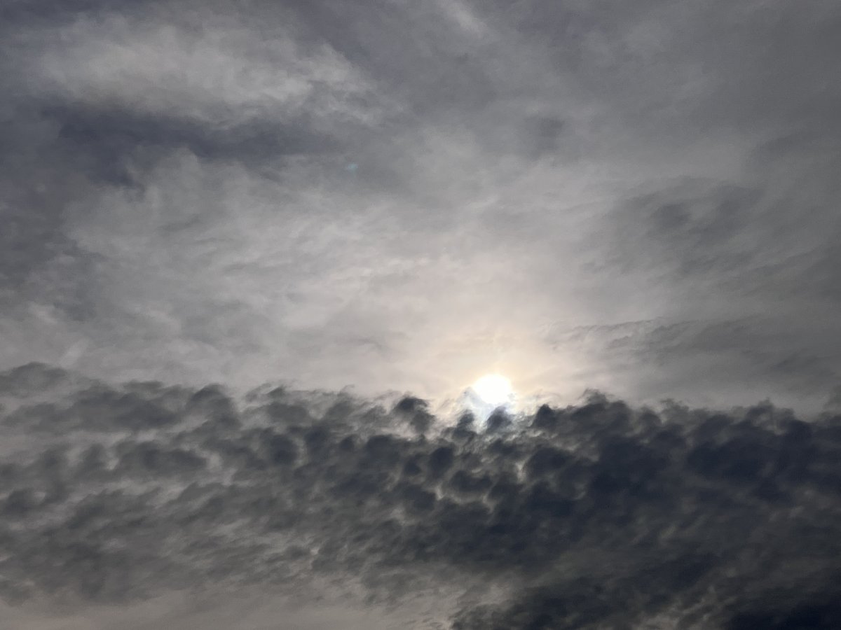 【日記】ウォーキングday｜ichi LABO