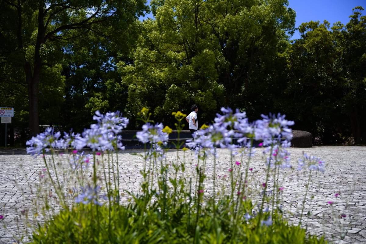 SIGMA fp ｜ 何気ない昼下がり｜KAIRI HIBI