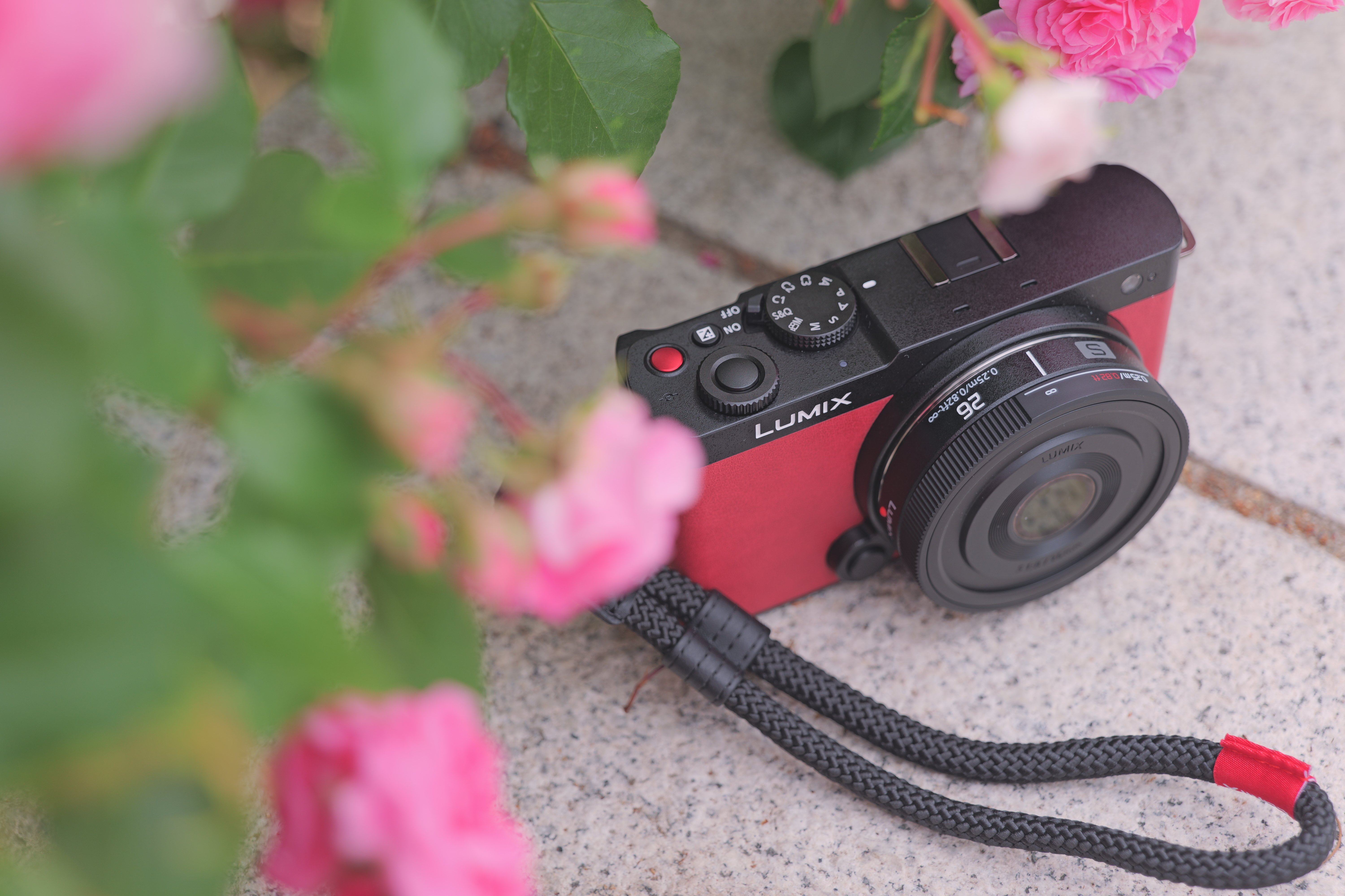 LUMIX S 24-105mm F4 MACRO O.I.S. 【Library】|LUMIX Lens Letters LUMIX S 24-105mm F4 MACRO O.I.S. 【Library】|LUMIX Lens Letters